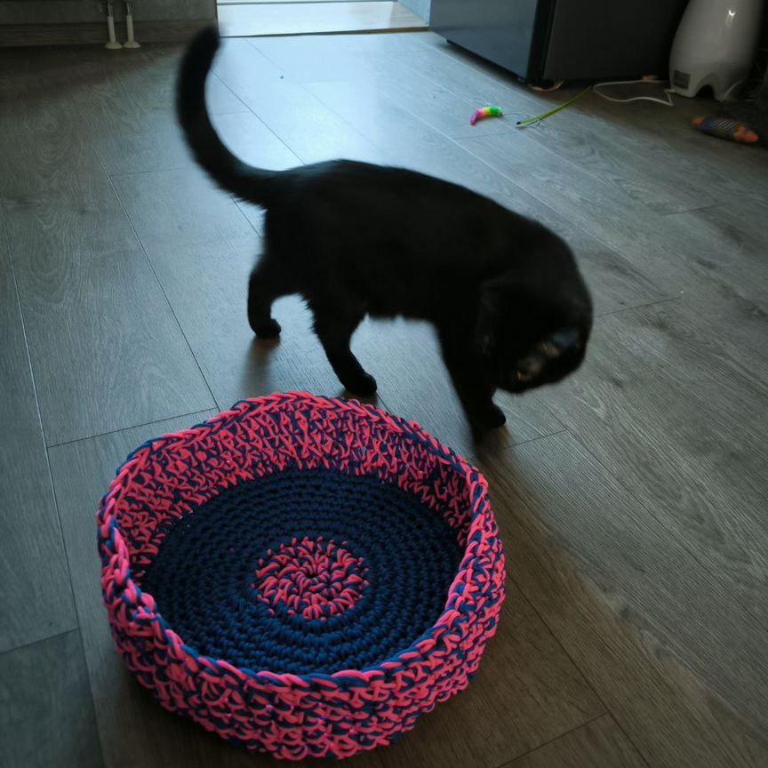 Лукошко для кошки