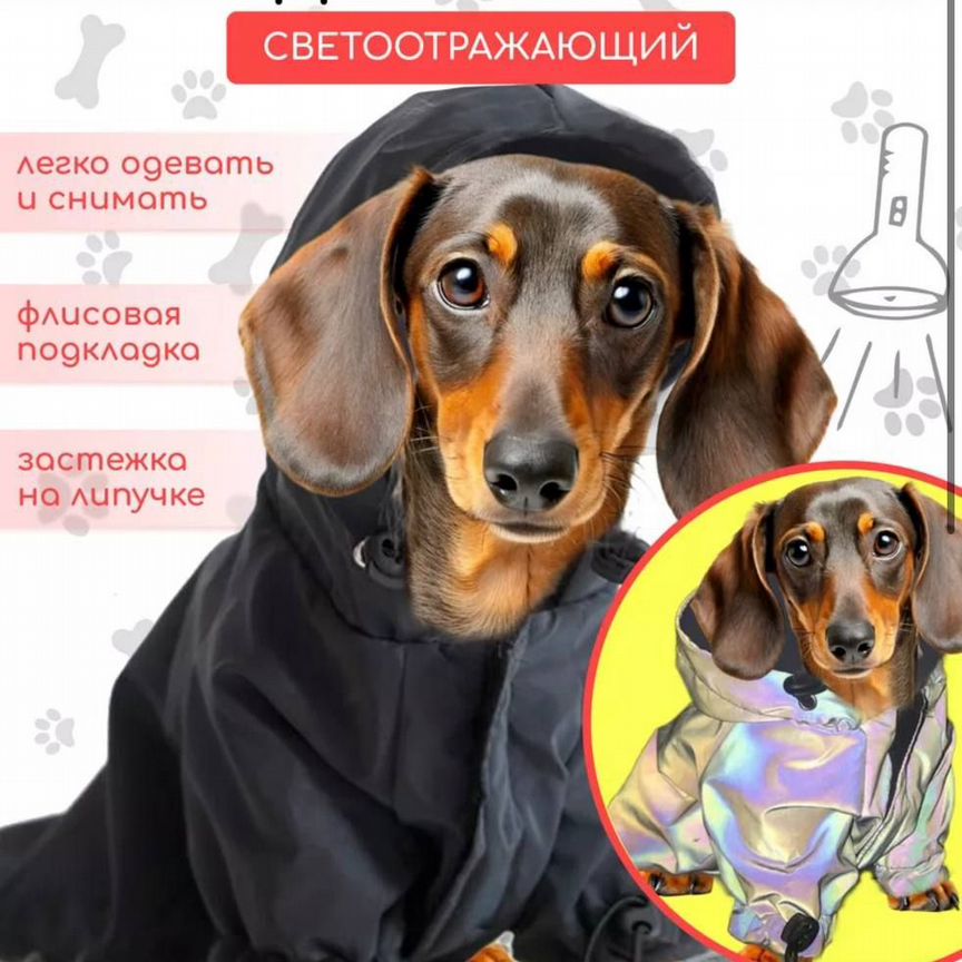 Куртка для собак мелких пород