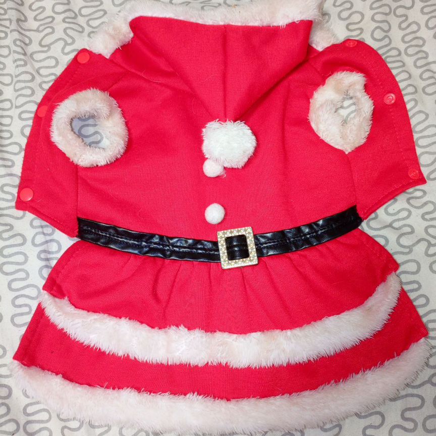 Новогодний костюм, на мелкую собачку