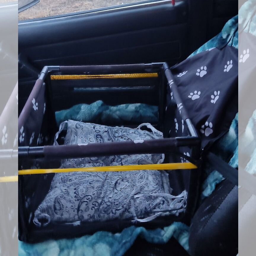 Автокресло для собак в машину