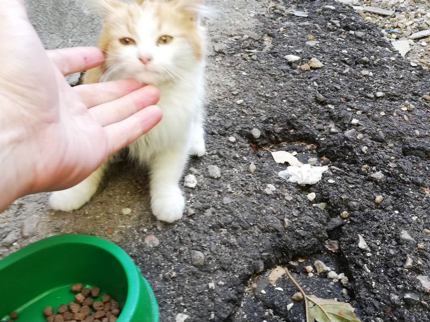 Огонёк в дар