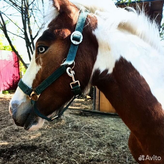 Кросс-Тинкер