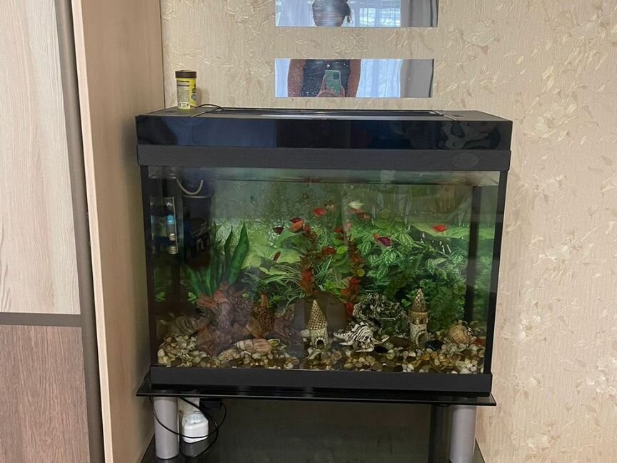 Аквариум и рыбки