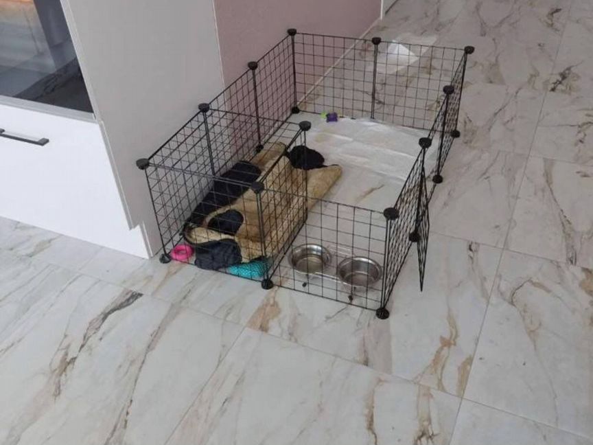 Вольер для собак