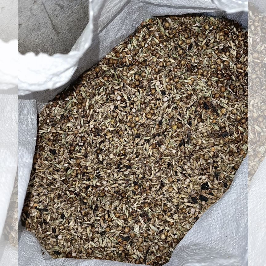 Зерно пшеница ячмень в мешках