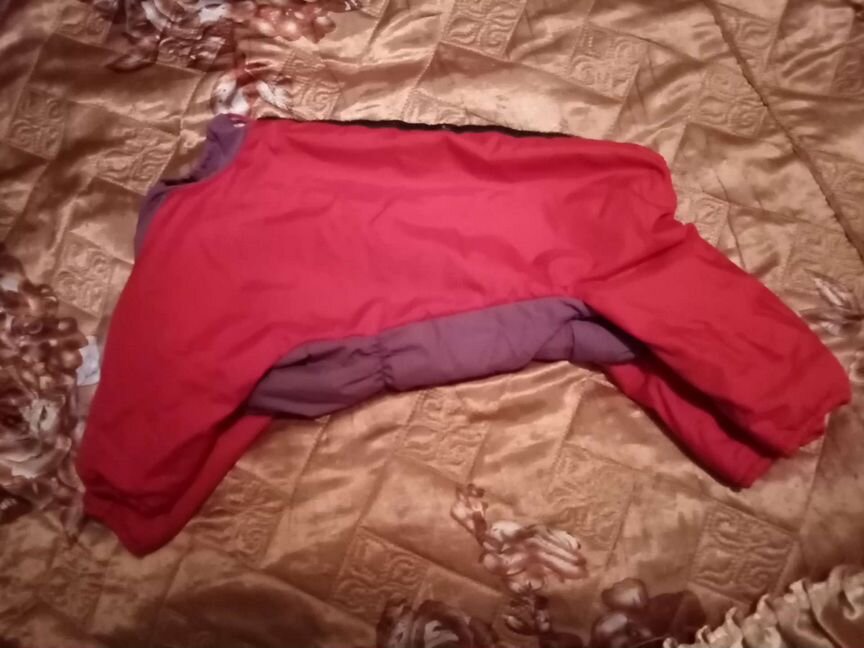 Комбез для собаки и кошки зимний