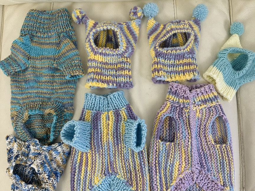 Одежда и шапки для собак мелких пород