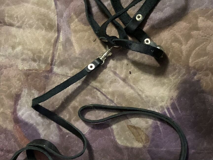 Поводок для кошек и собак