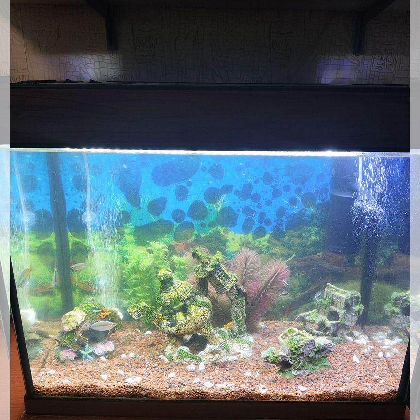 Аквариум на 80 литров
