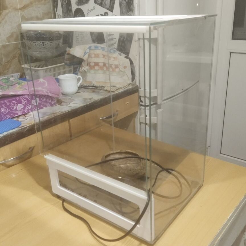 Террариум для змеи бу