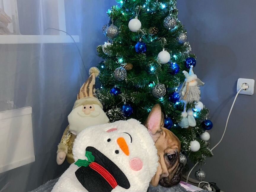Костюм снеговика новогодний для собаки
