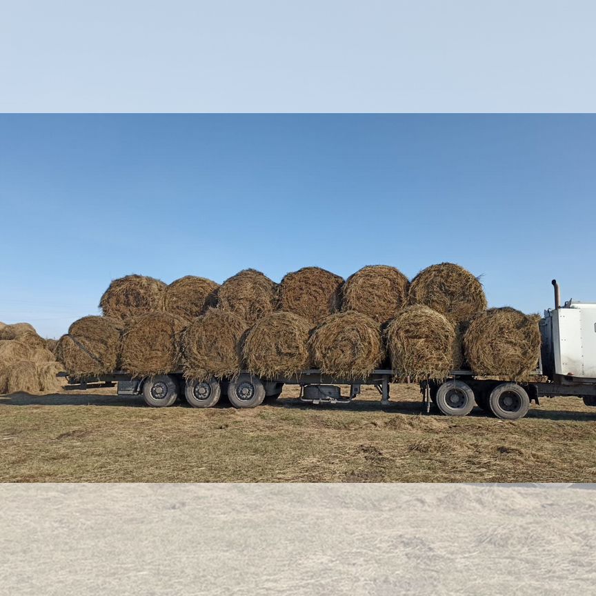 Сено в тюках