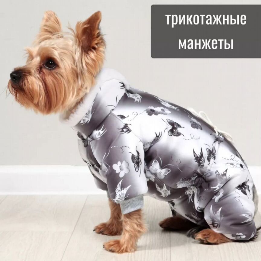 Костюм осень зима для собак мелких пород