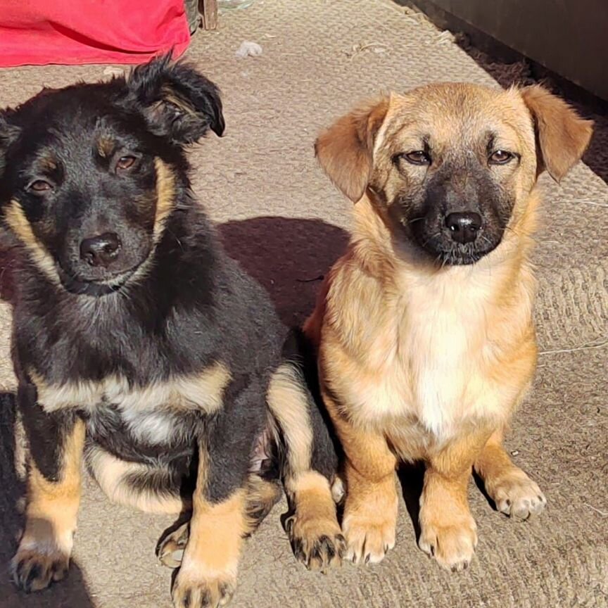 Будут небольшие