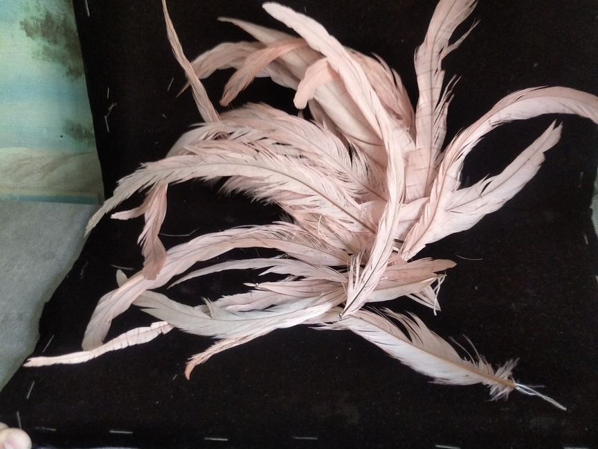Перья страуса для поделок 22 шт