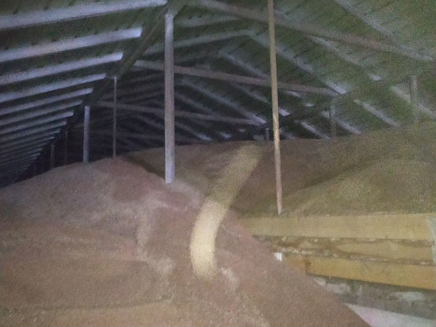 Пшеница ячмень овес дробленка