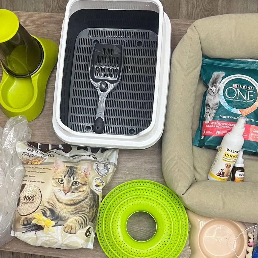 Набор для кошки