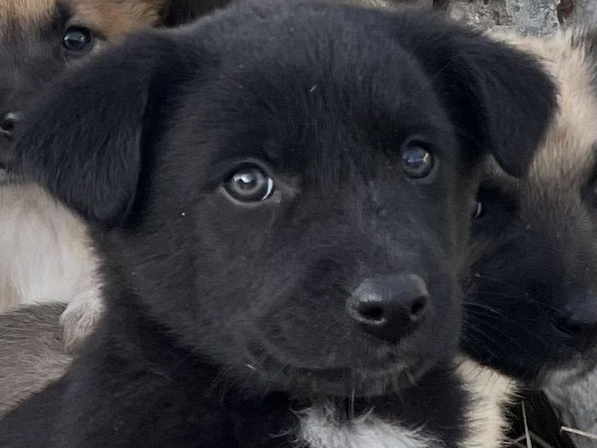 Малыш выживает в трубе на промзоне