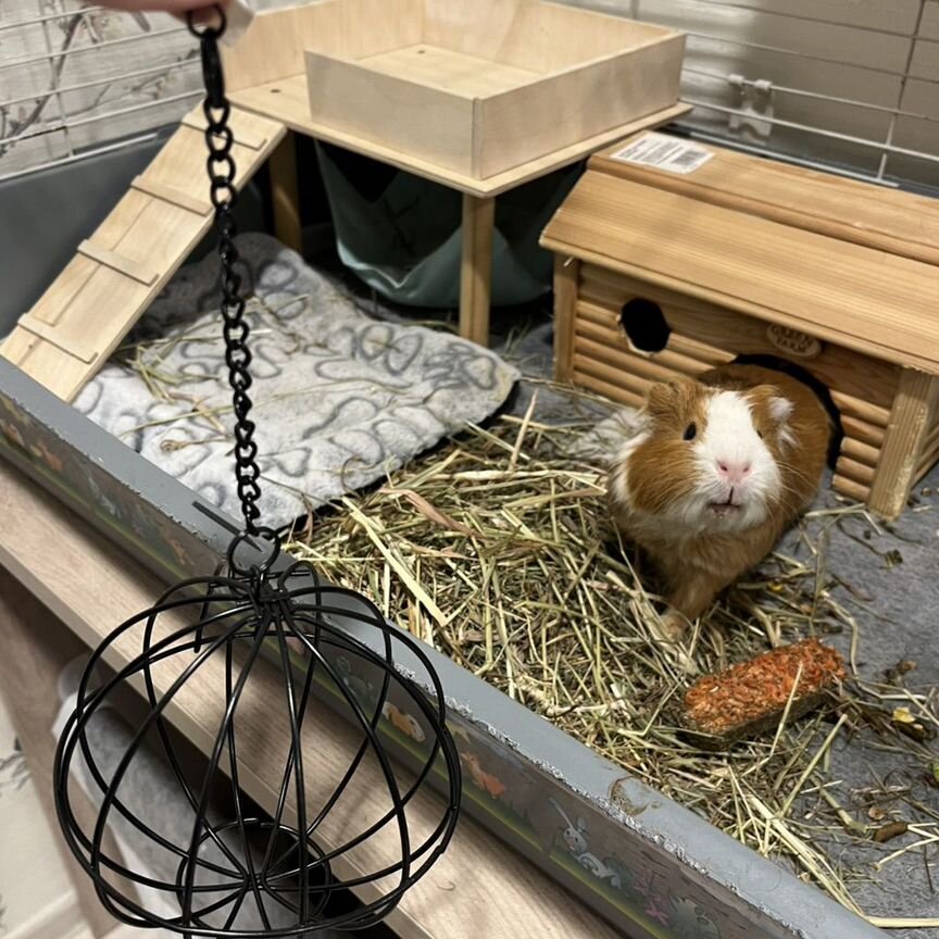 Сенник для грызунов
