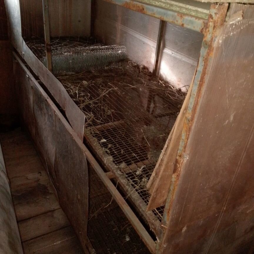 Клетка для кроликов 2 метра 2 яруса