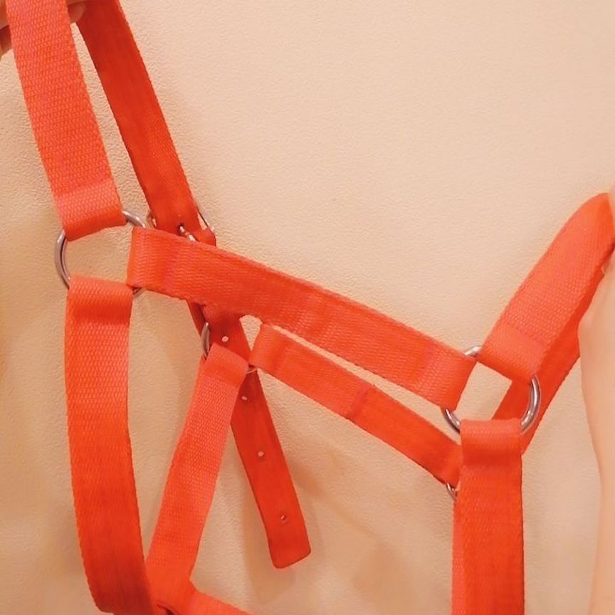 Недоуздок для лошади