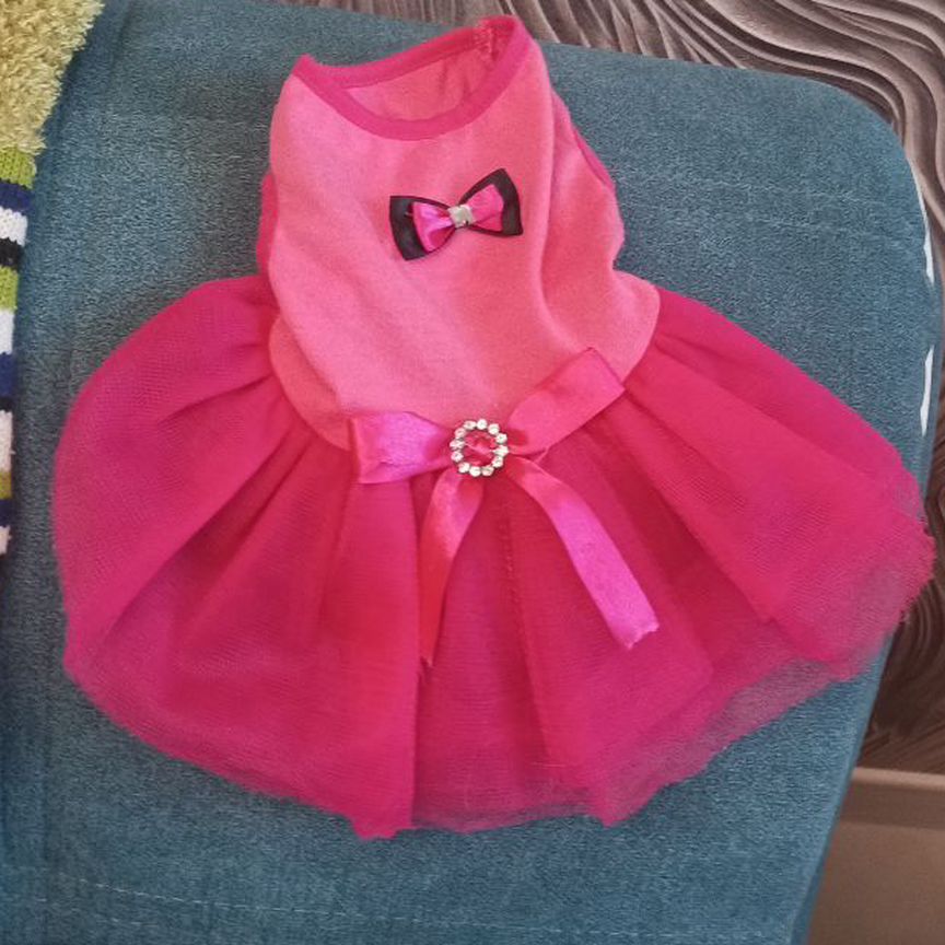 Одежда для собак мелких пород пакетом