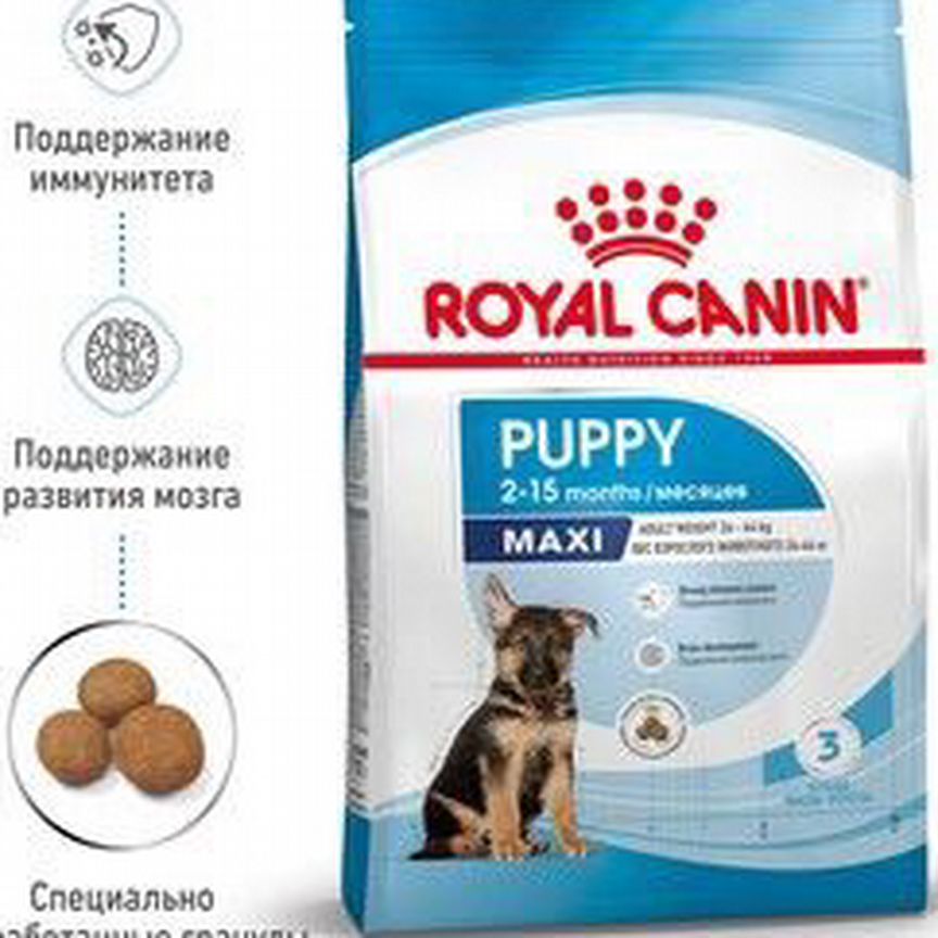 Корм для собак