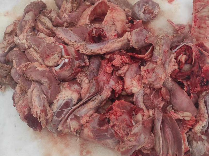 Субпродукты для собак