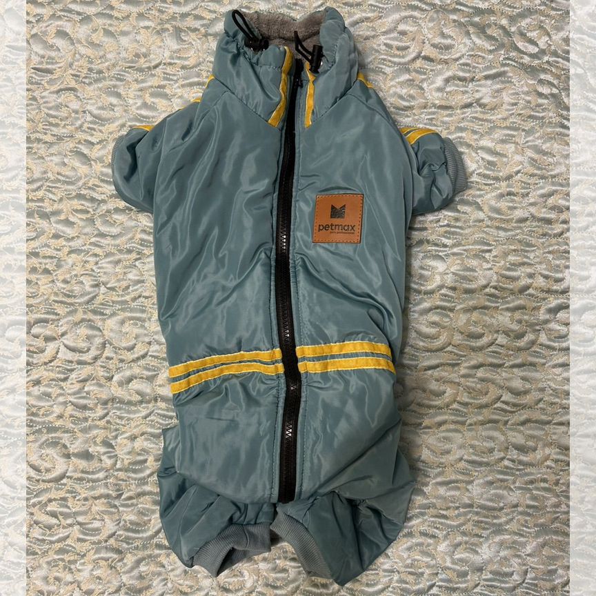 Одежда для собак