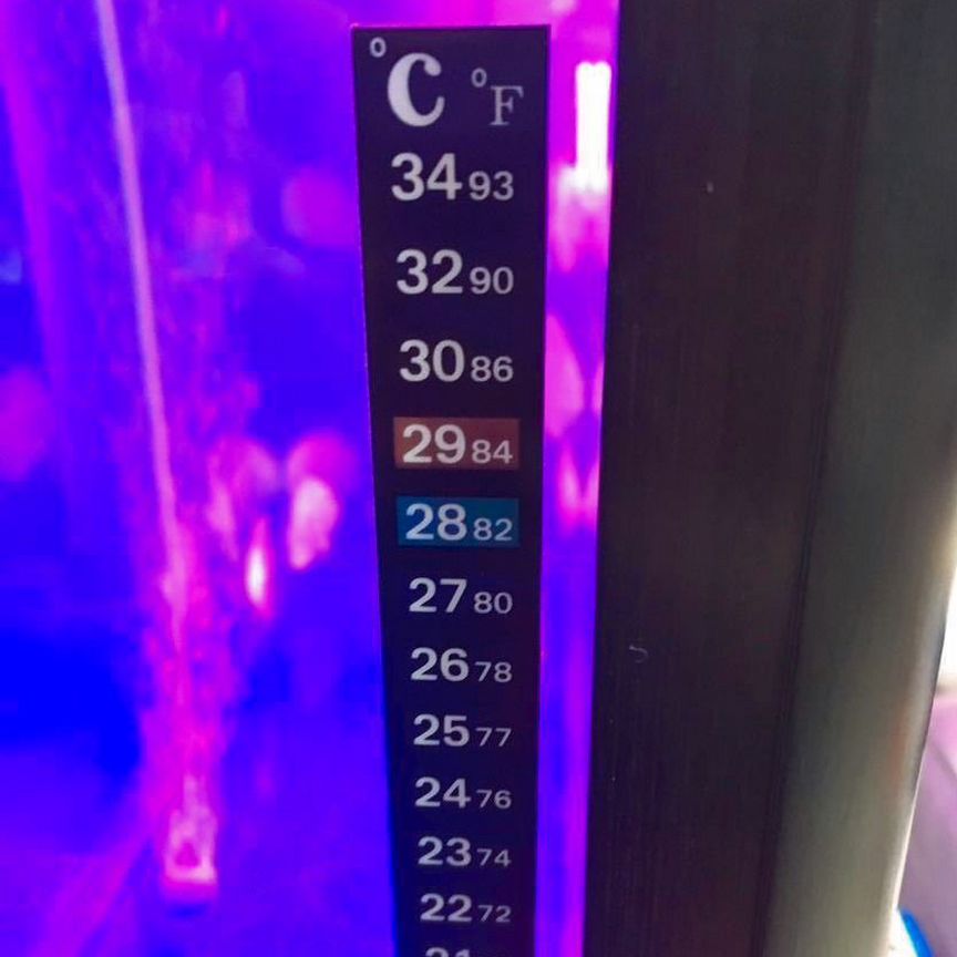 Термометр наклейка для аквариума