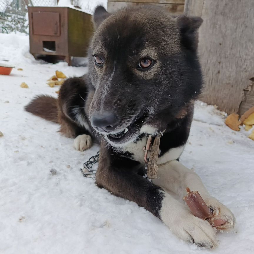 Хочу в семью