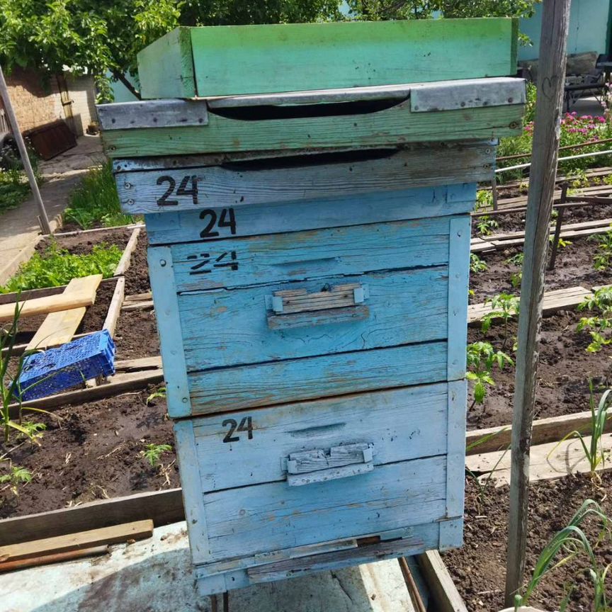 Улей для пчел бу 12 рамочный 2х корпусной