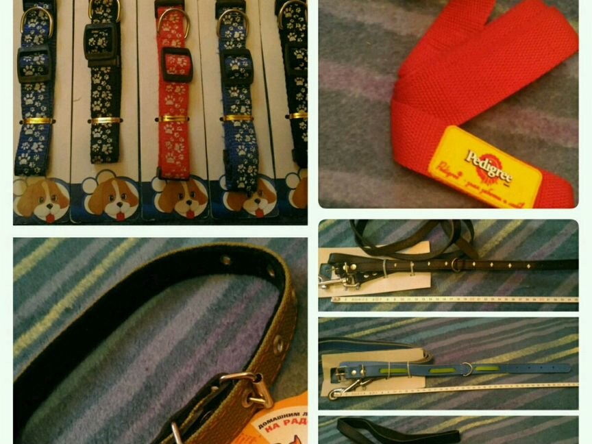 Амуниция для собак. Ошейник, поводок, оберег