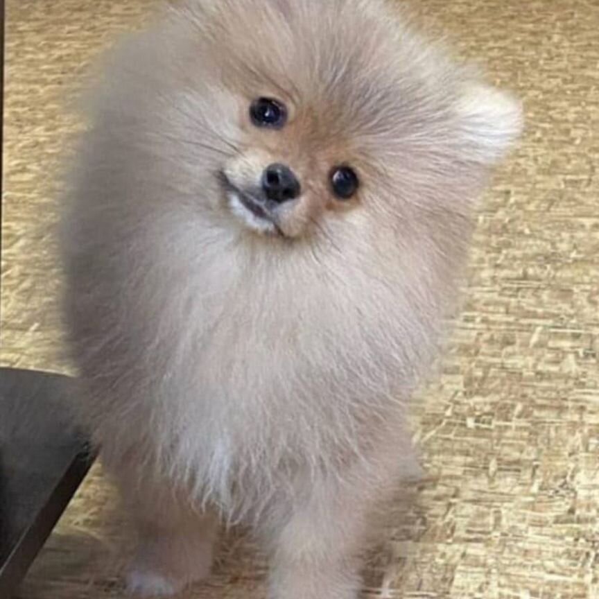 Мимишный малыш