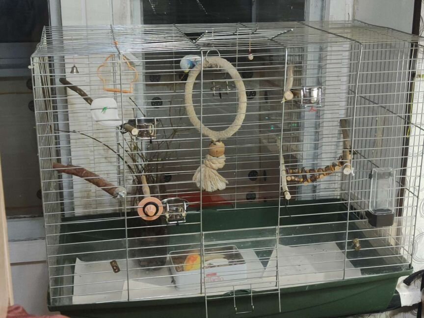 Вольер для попугая, большая клетка для птицы