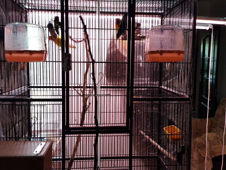 Вольер для птиц или мелких животных