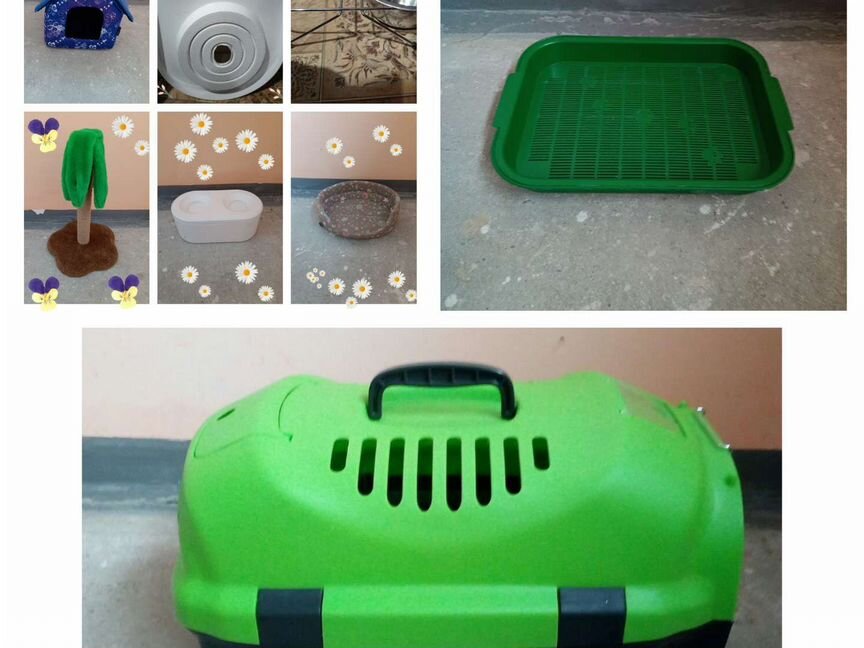 Товары для кошек