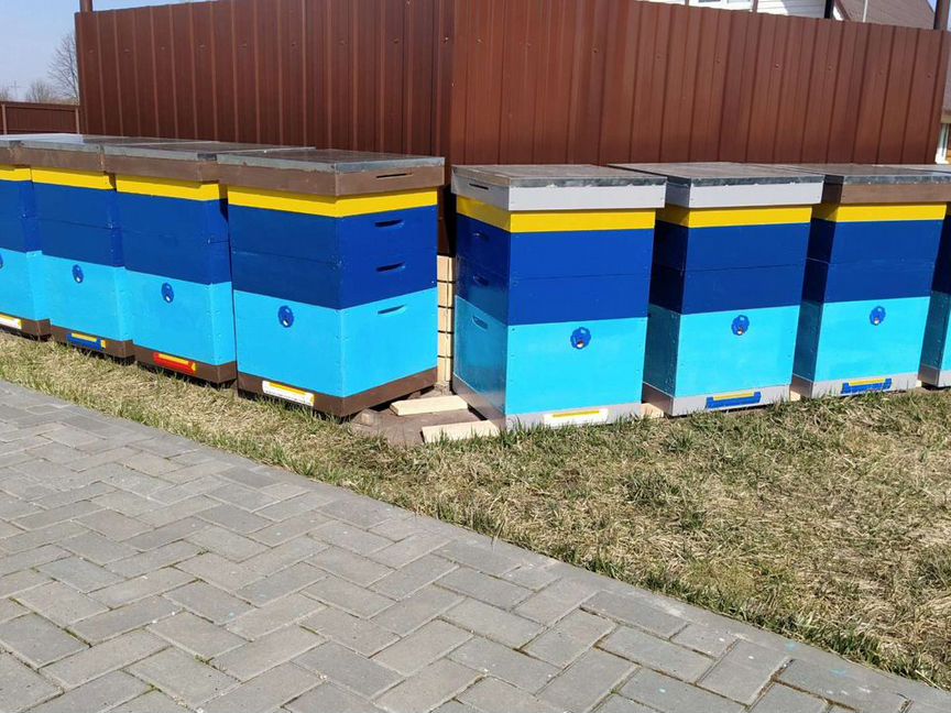 Улей 12 рам +2магазина