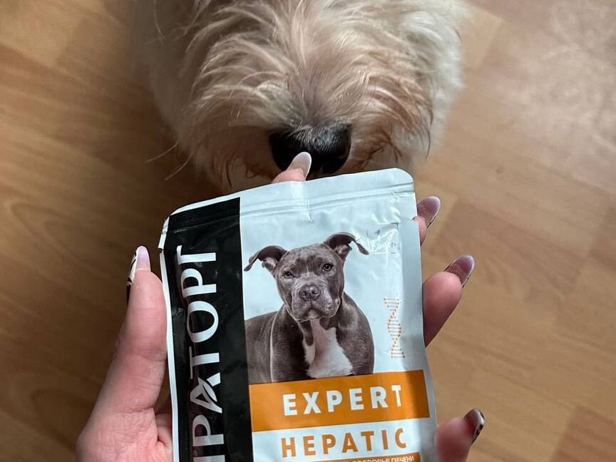 Влажный корм мираторг expert heratic 85г
