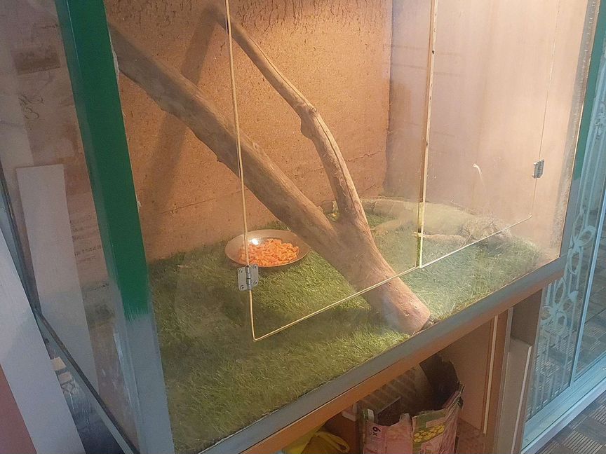 Террариум для игуаны