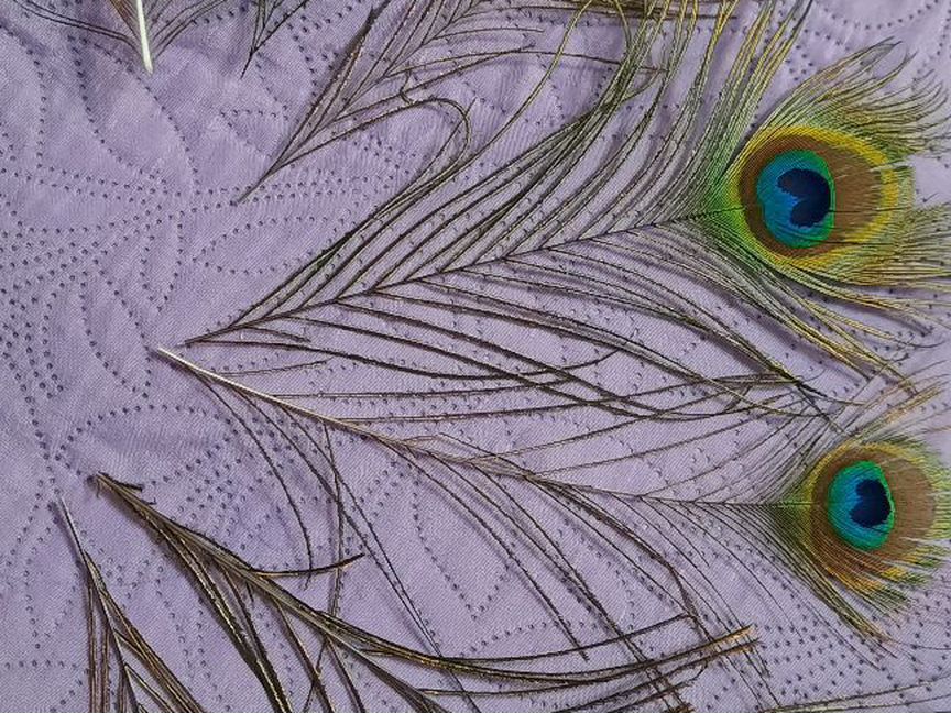 Перо павлина