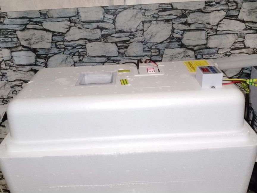 Инкубатор несушка,инкубатор Блиц 48