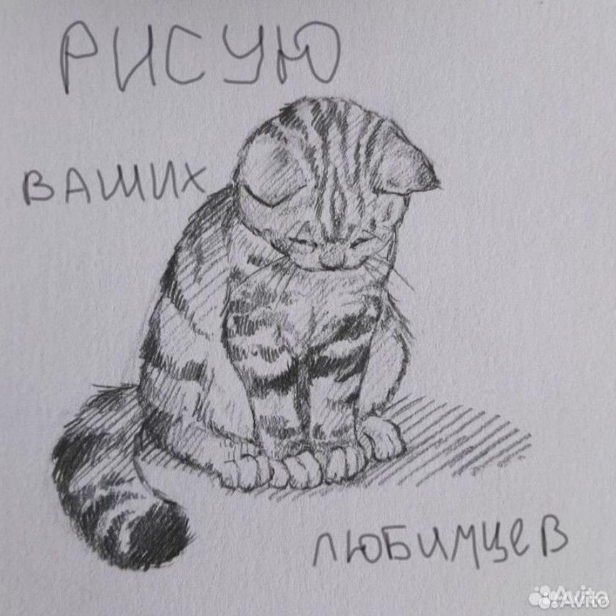 Рисую любых питомцев