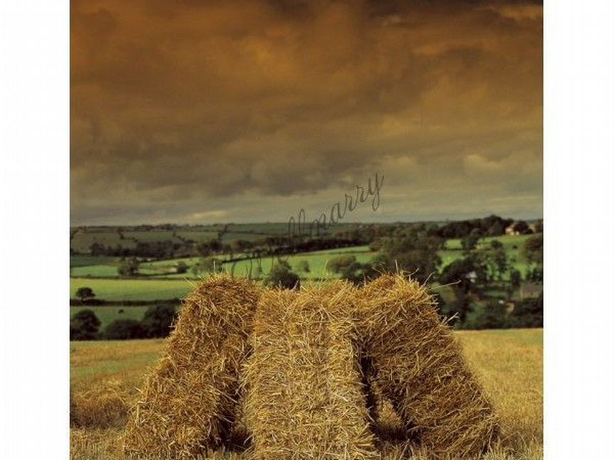 Продам солому