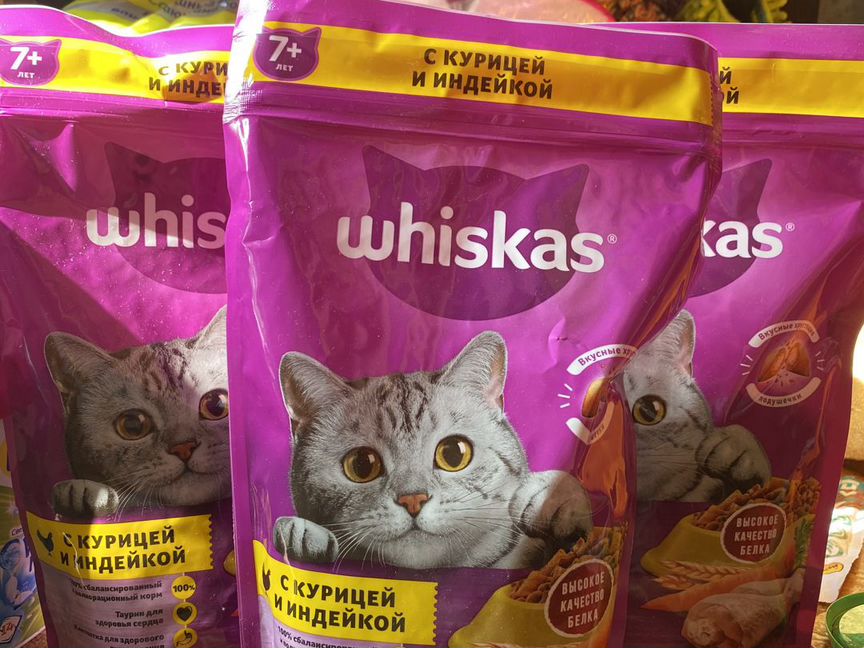 Кошачий сухой корм