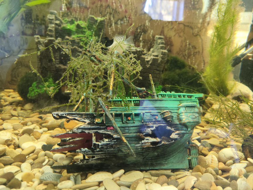 Украшения для аквариума