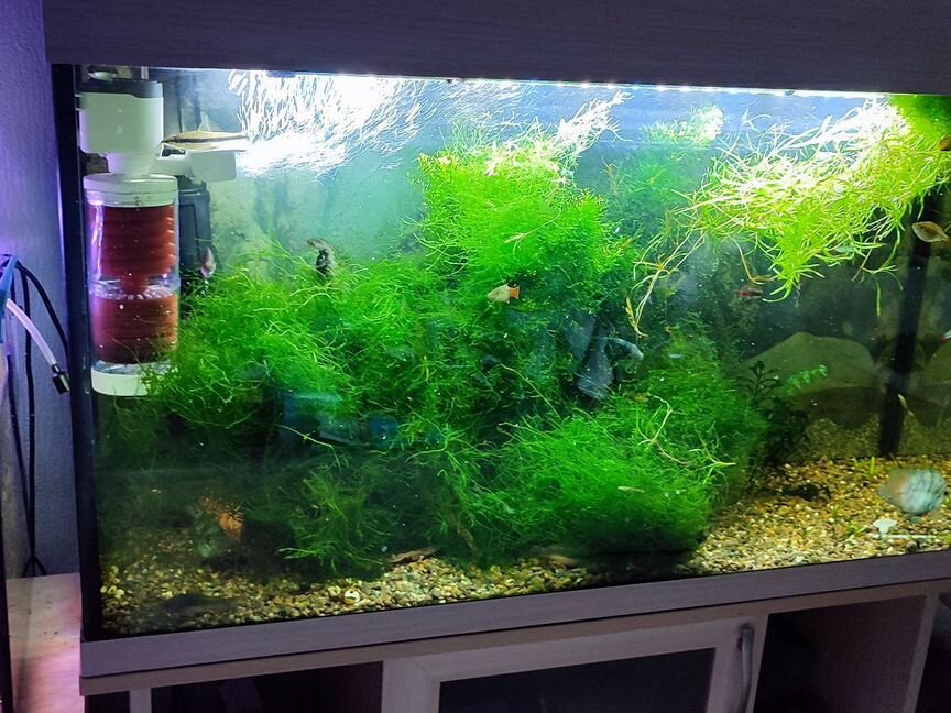 Украшение для аквариума