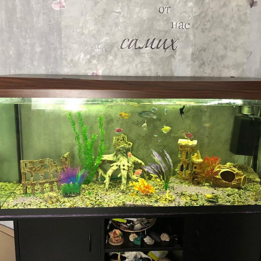 Аквариум на 300литров