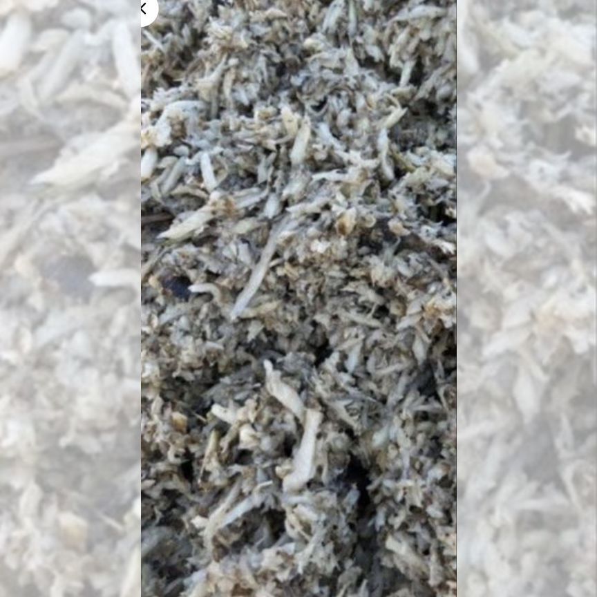 Жом свекловичный