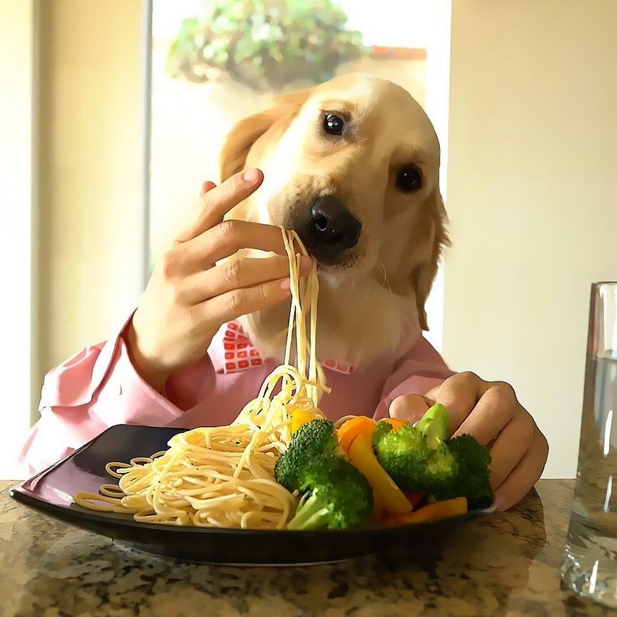 Корм для собак "Мокрый нос" для мелких, средних и